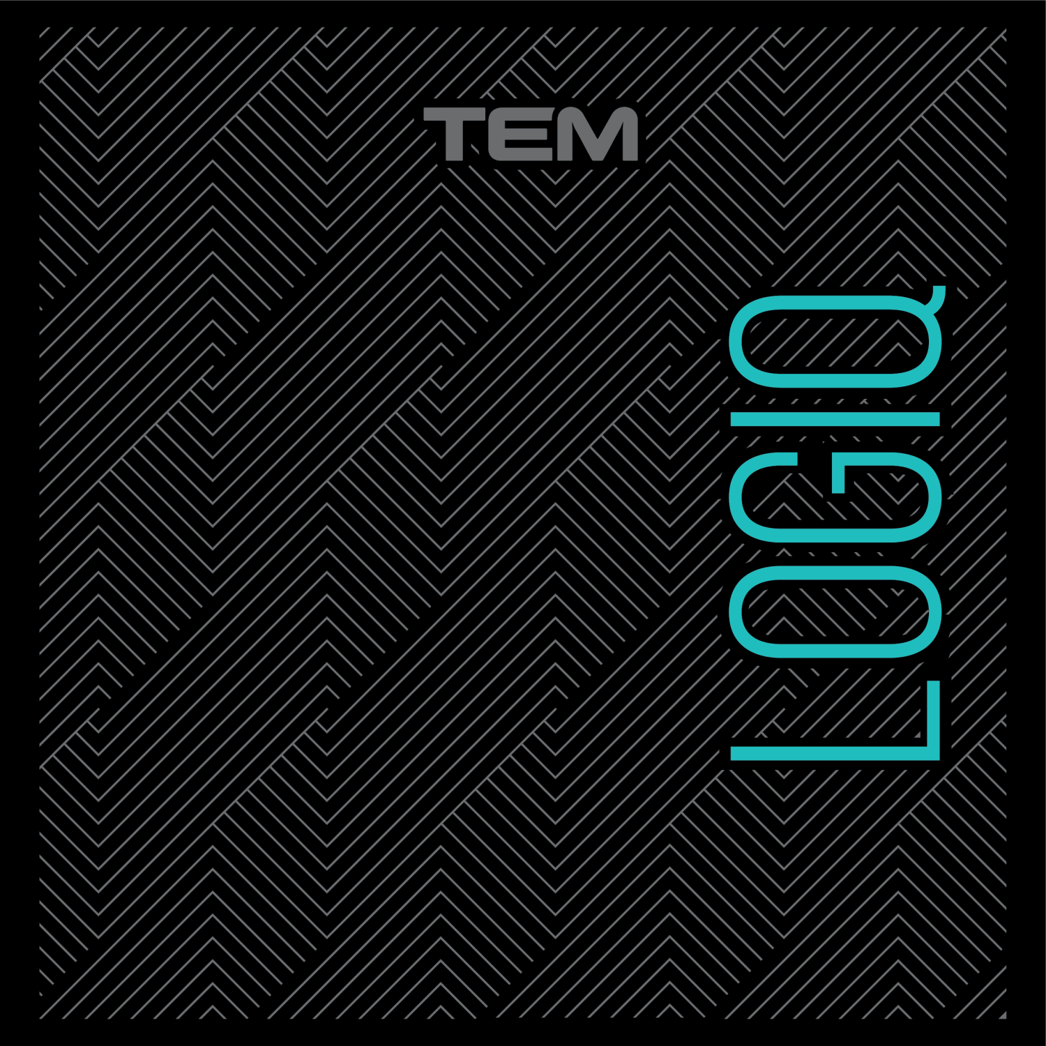 LOGIQ katalog 2024 - TEM Čatež d. o. o.